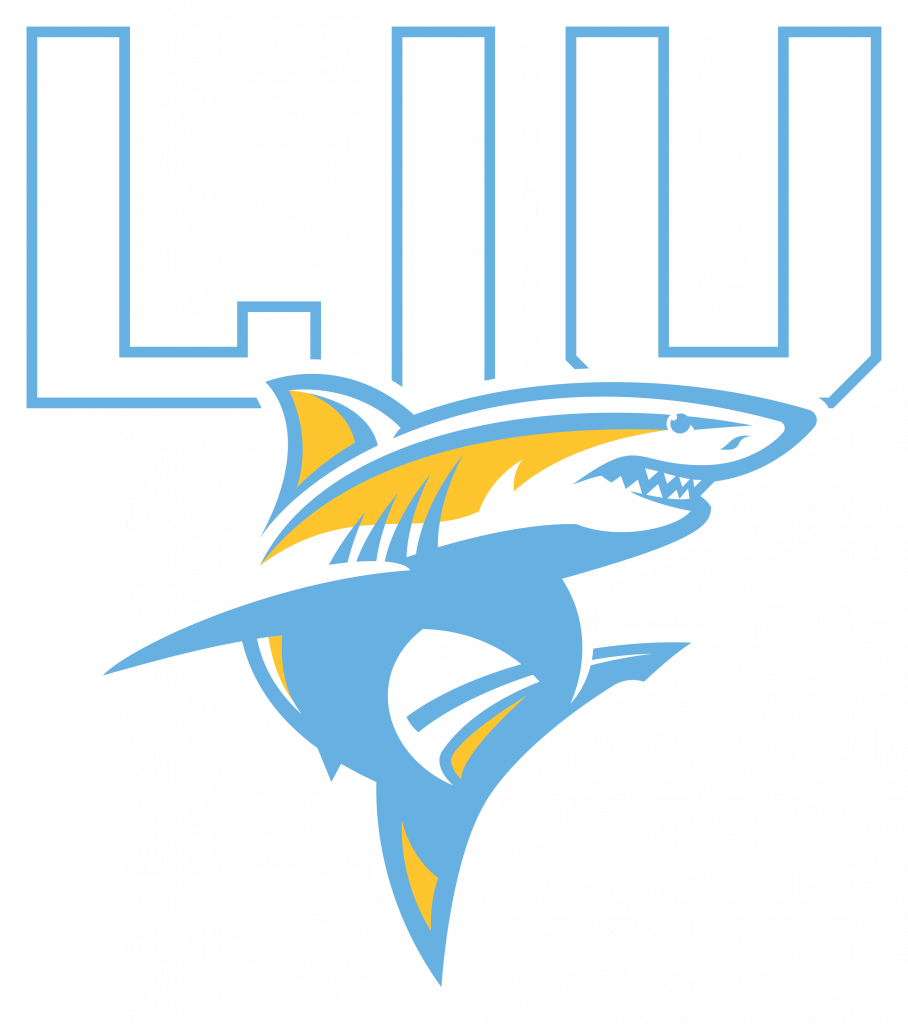 2018-19 Annual Report – Virtual Enterprises International